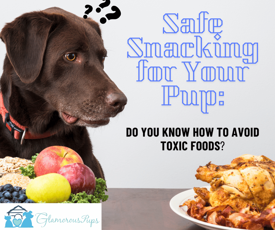 Safe Snacking for Your Pup: A Guide to Avoiding Toxic Foods – Glamorous ...