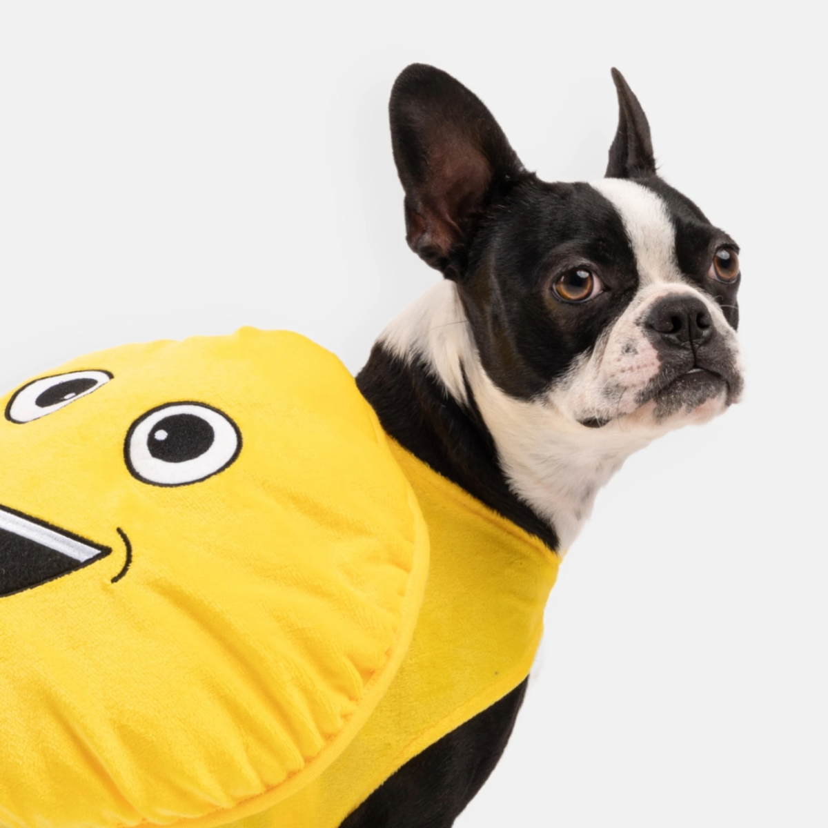 😀🐶 Happy Face Dog Costume – Plush Smiley Outfit for Dogs – Glamorous Pups